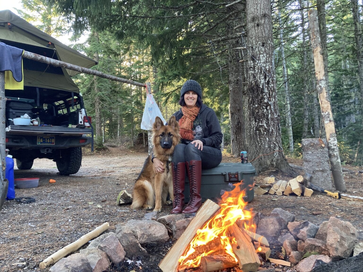 From Walks to Hikes: Putting the Saker Canine Harness to the Test ...