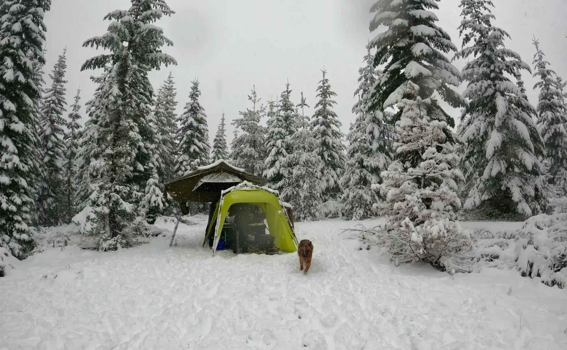 How to Insulate a Tent for Winter Camping: Stay Cozy in the Cold ...