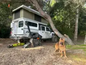 Dog Camping Chair: Top 10 Picks for Your Adventure Buddy in 2023 ...