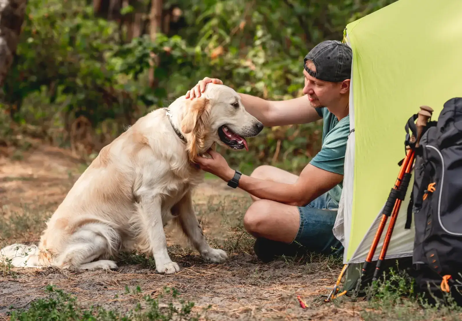 Wild Camping with a Dog: Ultimate Guide for a Safe Adventure ...