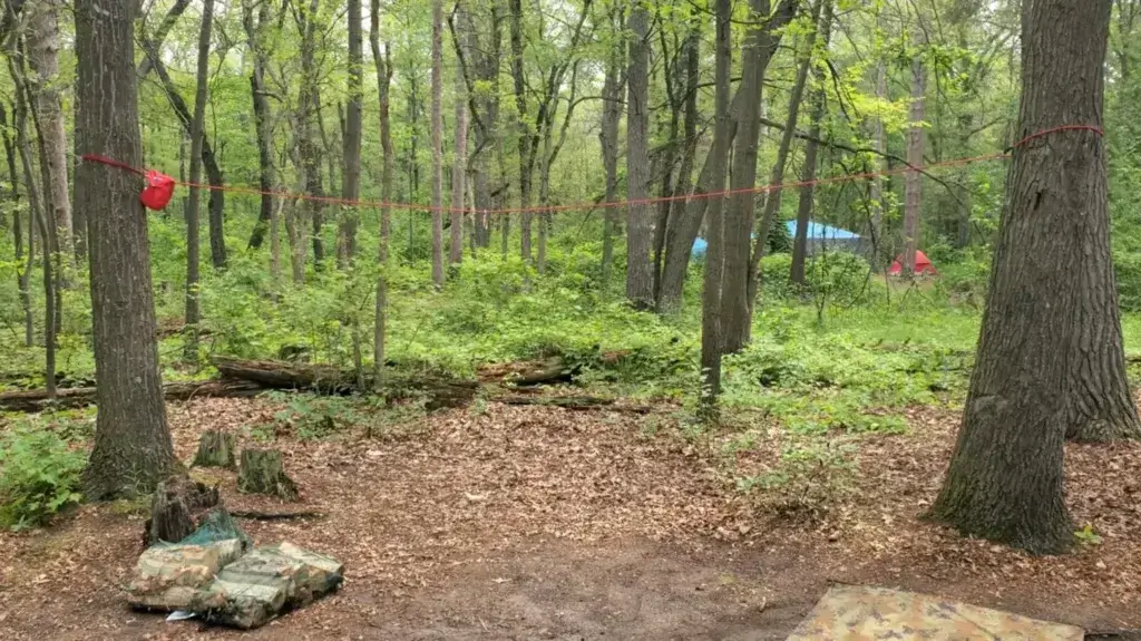 Ruffwear Knot-a-Hitch Review: Campers' New Best Friend? - Wanderland ...