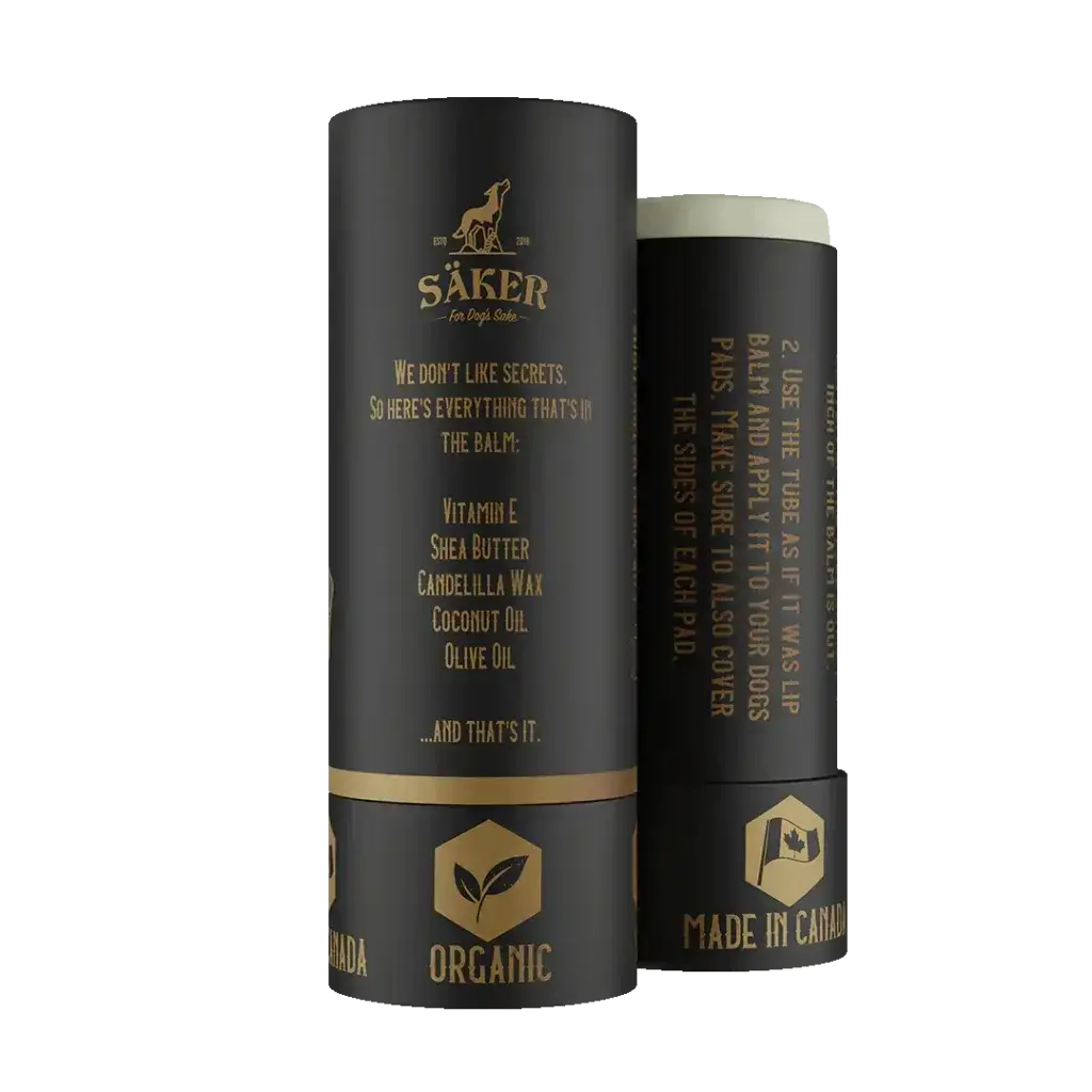 Dog Boots for Snow: Protection for Winter Walkies - Wanderland Xperience